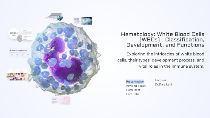 Hematology: White Blood Cells (WBCs) - Classification, Development, and ...