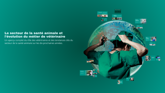 Le métier de vétérinaire et l’évolution du secteur de la santé animale ...