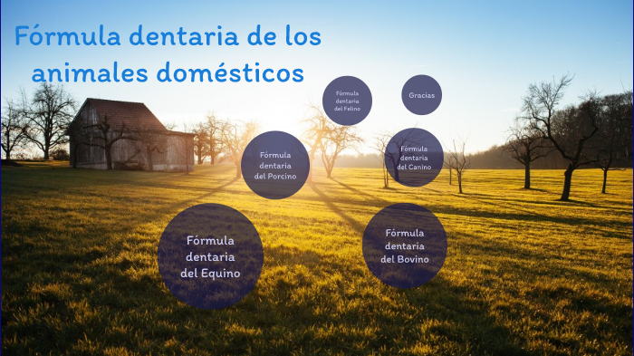 Fórmula Dentaria de los animales Domésticos by Ivanna Verdugo on Prezi