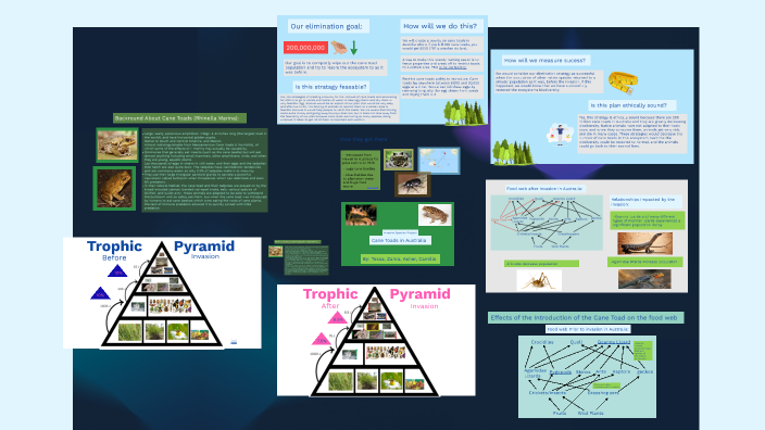 Honors Bio Invasive Species Project by Tessa McCulloch on Prezi