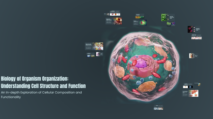 Biology of Organism Organization: Understanding Cell Structure and ...