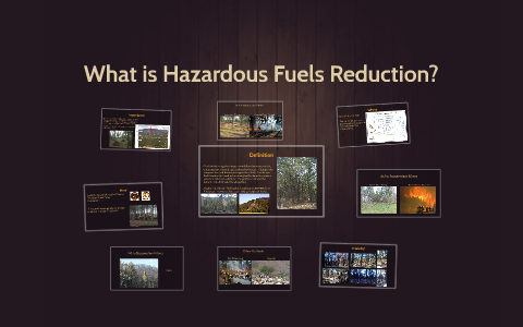 What is Hazardous Fuels Reduction? by Brandy Petersen
