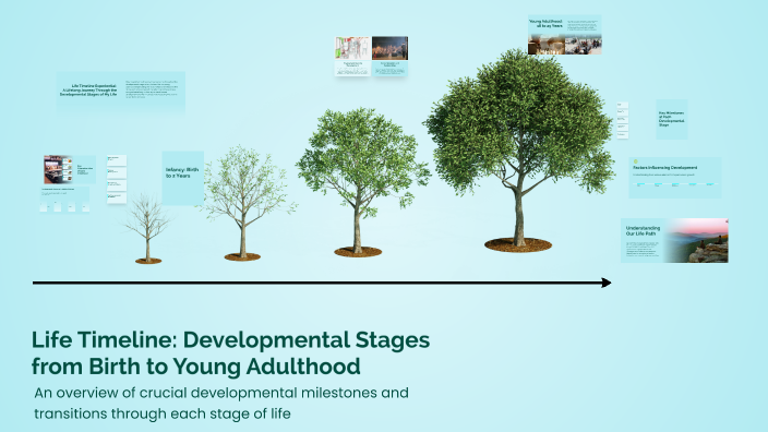 Life Timeline: Developmental Stages from Birth to Young Adulthood by ...