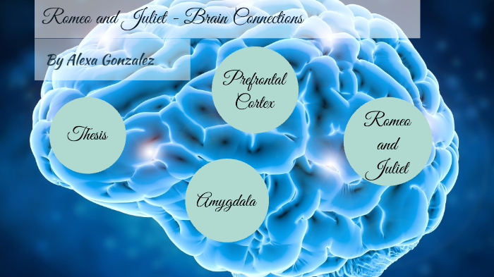 Romeo and Juliet Alexa Brain Connections by Alexa Gonzalez on Prezi
