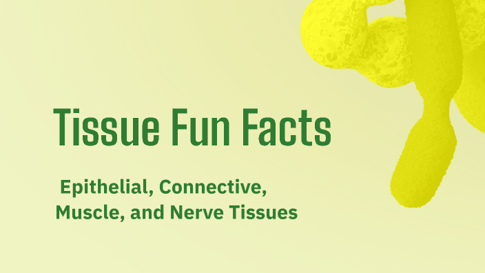 Tissue Fun Facts by De'Lexzy Conley on Prezi