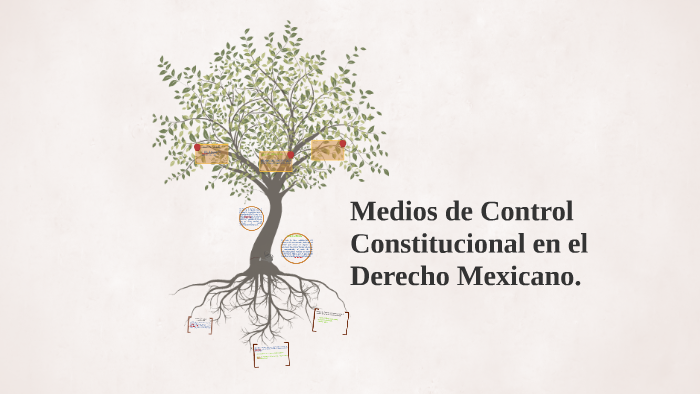 Medios de Control Constitucional en el Derecho Mexicano. by Anii ...