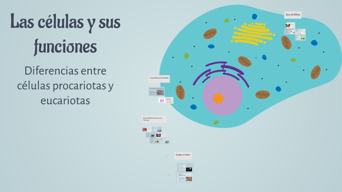Las células y sus funciones by deisy espinosa on Prezi