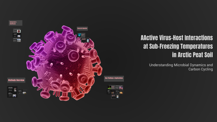 Active Virus-Host Interactions at Sub-Freezing Temperatures in Arctic ...