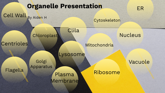 Organelle Presentation by Aiden Hogan on Prezi