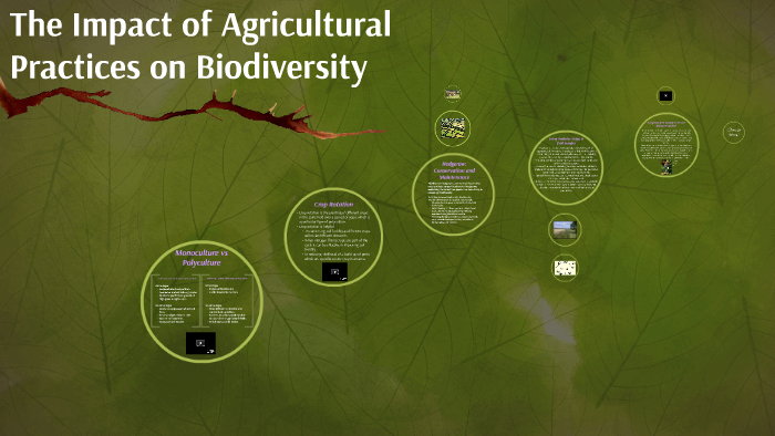 The Impact of Agricultural Practices on Biodiversity by Bailey Camack ...