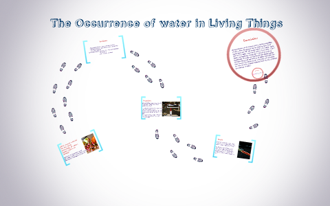 The Occurrence of water in Living Things by Yeon Jin Jung