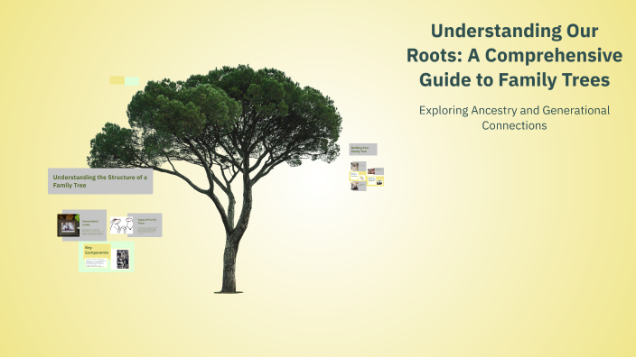 Understanding Our Roots: A Comprehensive Guide to Family Trees by Emily ...