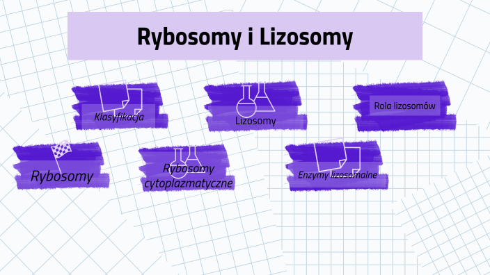 Rybosomy i Lizosomy by jula g on Prezi