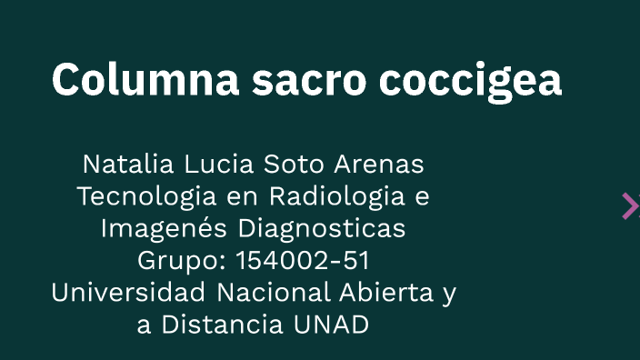 Columna sacro coccigea by Natalia Soto on Prezi