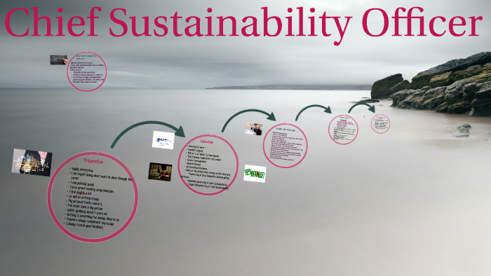 Chief Sustainability Officer by Nancy Lopez on Prezi