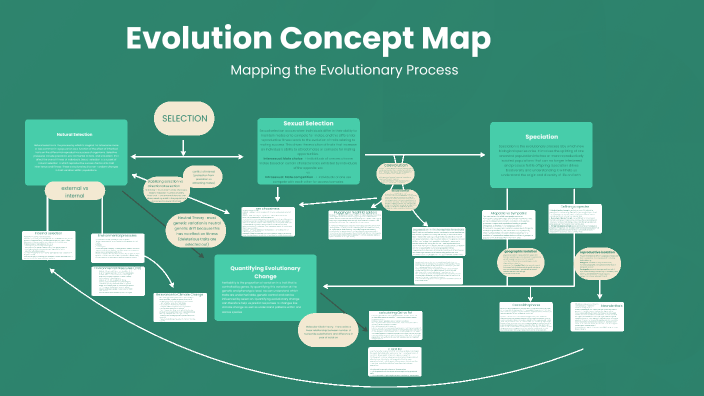 Evolution Concept Map by Ava Wilkes on Prezi