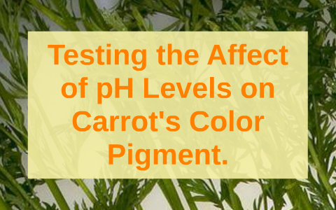 Testing the affect of pH levels on Carrots color pigment. by Stefan W ...