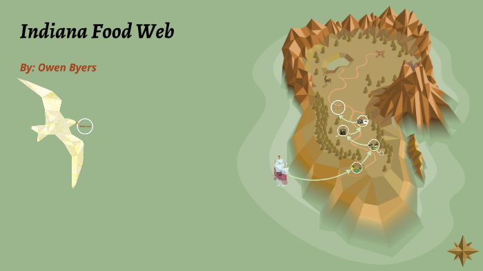 Indiana Food Web by Owen byers on Prezi