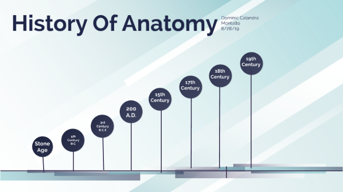 History Of Anatomy by Dominic Calandra on Prezi