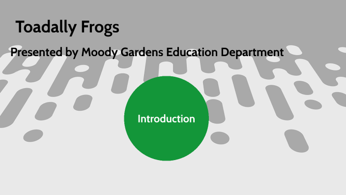 Toadally Frogs by Moody Gardens Education Department on Prezi
