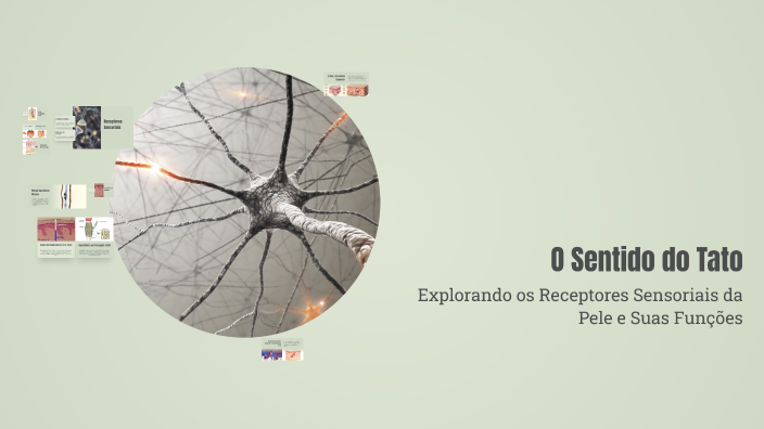 O Sentido do Tato by Bielzx on Prezi