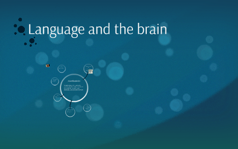 Language and the brain by Marien Vossen on Prezi