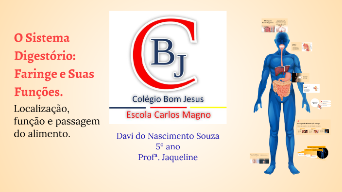 O Sistema Digestório: Faringe e Suas Funções by Paulo Giovanni Pires de ...