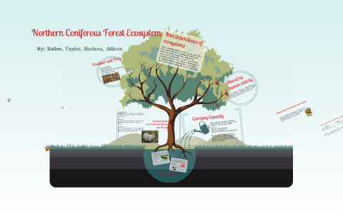 Minnesota Ecosystem by Kailee Byrd on Prezi
