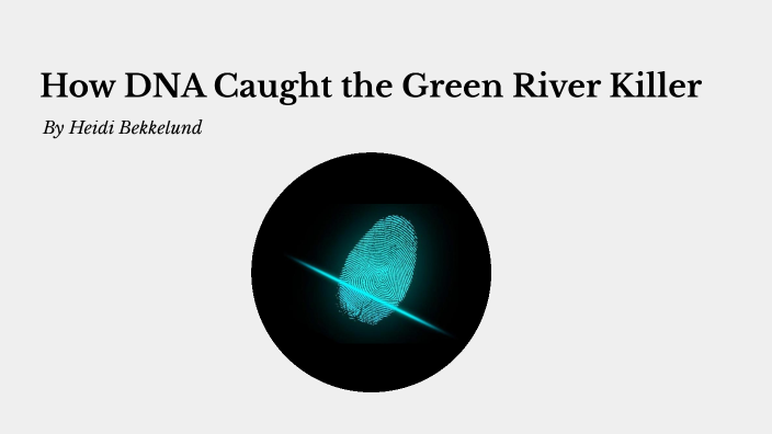 How DNA Caught the Green River Killer by Heidi Bekkelund on Prezi