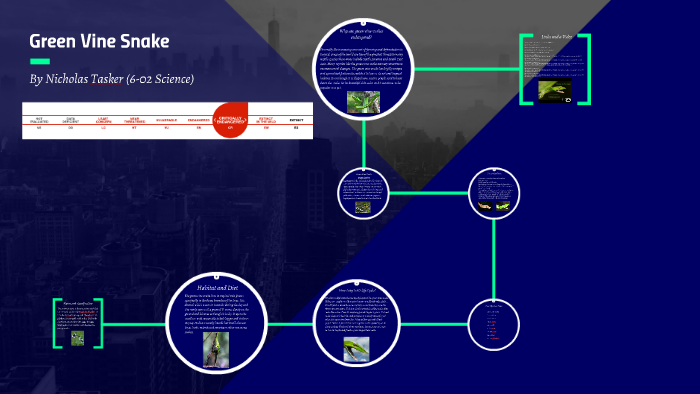 Endangered Species by Nicholas Tasker on Prezi