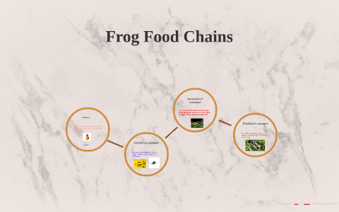 Frog Food Chains by Caitlin Doonan on Prezi