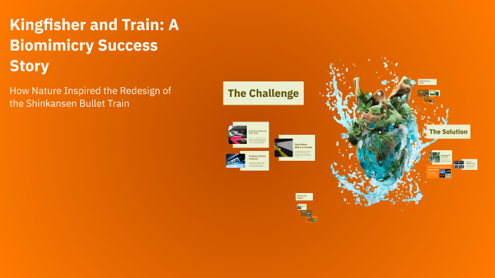 Kingfisher and Train: A Biomimicry Success Story by Varad Devkar on Prezi