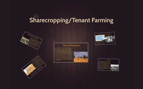 Sharecropping/Tenant Farming by Alec Cromer on Prezi