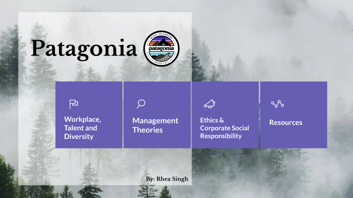 Investigating Corporate Social Responsibility in Patagonia by Rhea ...