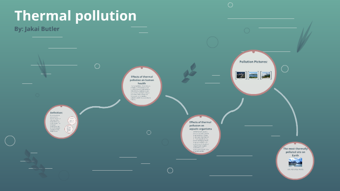 Effects Of Thermal Pollution