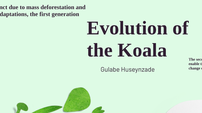 Bio: Evolution of the Koala by Gulabe Huseyin on Prezi