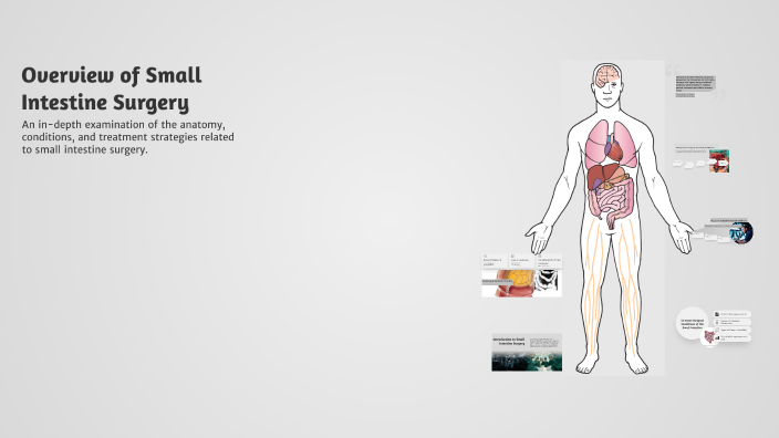 Overview of Small Intestine Surgery by raged jaffal on Prezi