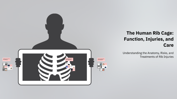 The Human Rib Cage: Function, Injuries, and Care by Iliana Burton on Prezi