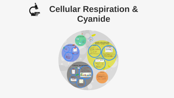 Cellular Respiration & Cyanide by yese nieto on Prezi