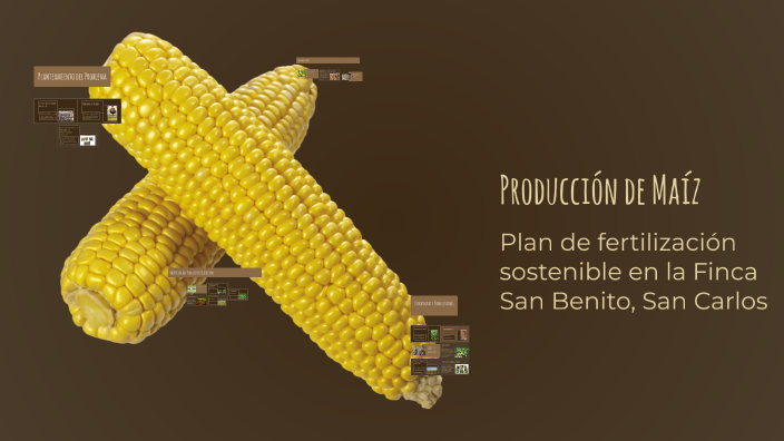 Producción de Maíz by Dariel Alonso Jimènez Varela on Prezi