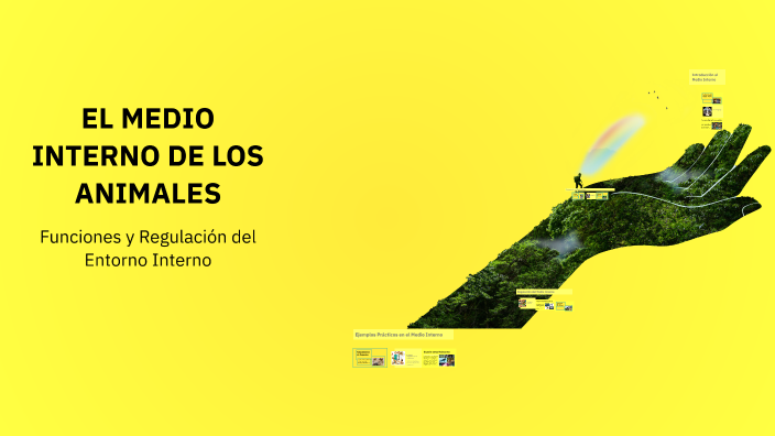 EL MEDIO INTERNO DE LOS ANIMALES by filomeno garcia on Prezi