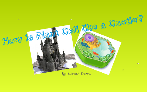 How is Plant Cell like a Castle? by Animesh Sharma on Prezi