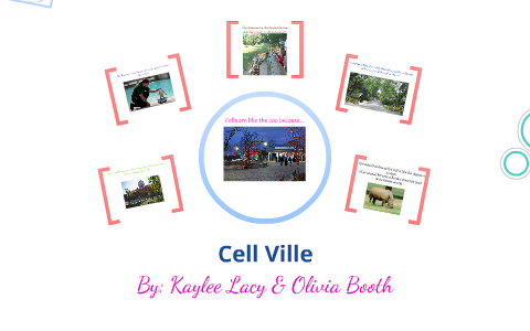 Cell Ville by olivia booth on Prezi