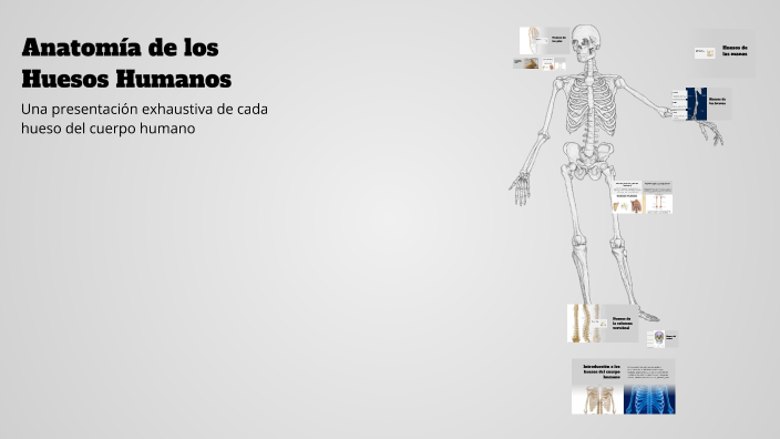 Anatomía de los Huesos Humanos by Salome Rivera on Prezi