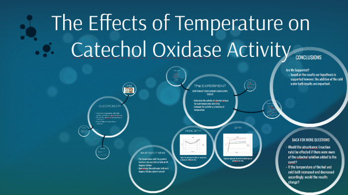 The Effects of temperature on Catechol Oxidase Activity by Ashton Smith on Prezi