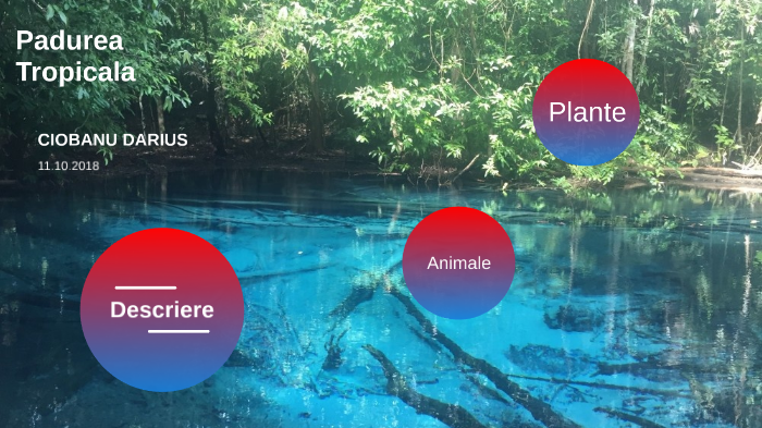 Padurea Tropicala by Darius Ciobanu on Prezi