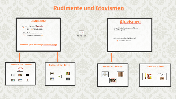 Rudimente und Atavismen by Jasper Für Schule on Prezi