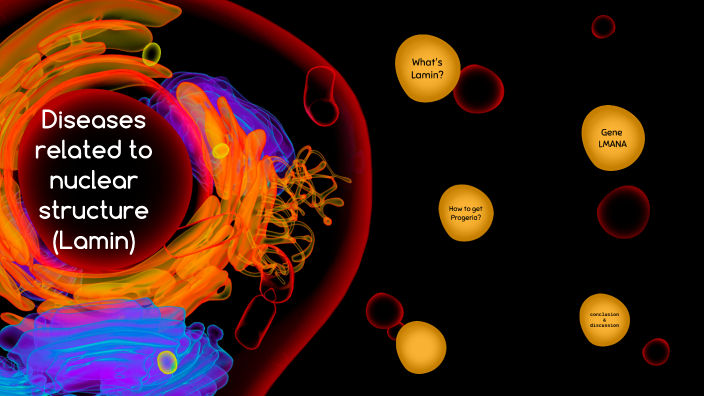 Diseases related to nuclear structure (lamin) by Nipaporn CHUAISUK on Prezi