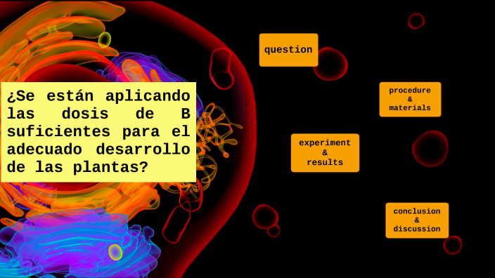 COMO FUNCIONA EL BORO EN LAS PLANTAS by carlos gordillo on Prezi