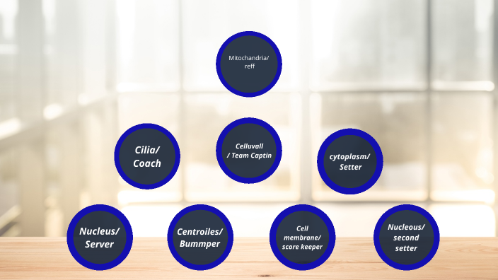 Volleyball cell project by Kayla Fehr on Prezi